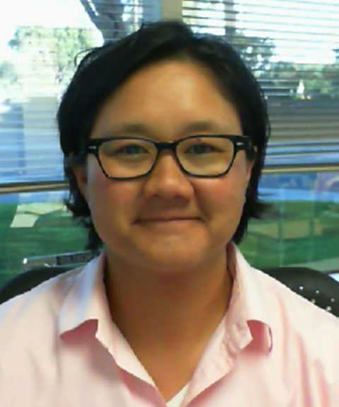 Sandy Lee - Open Paths